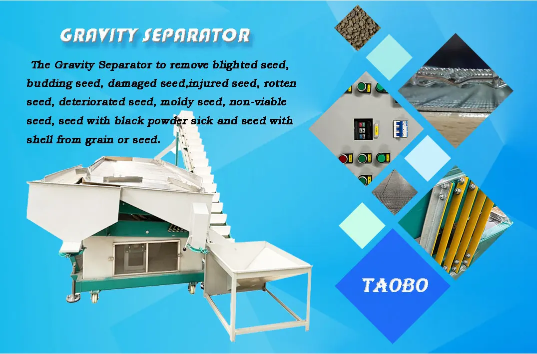 Separator Machine - Efficient Seed & Coffee Bean Processing