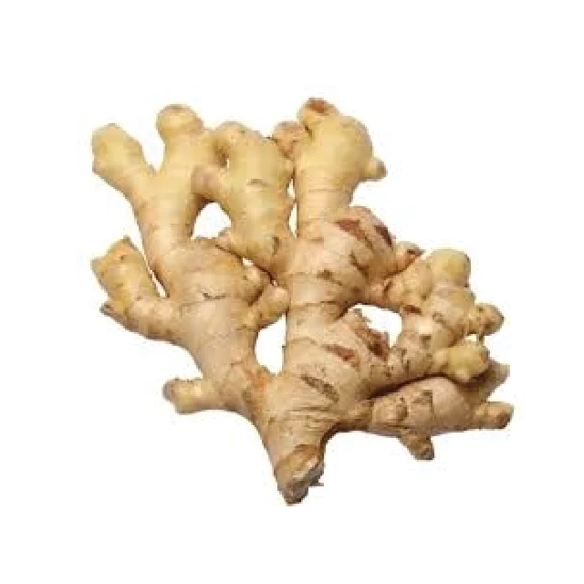 Explore The Excellence Of Vn International Agriculture's Fresh Ginger ...