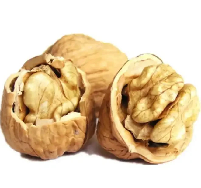 Wholesale Natural Organic First Grade White Walnuts Peeled Bulk Raw ...