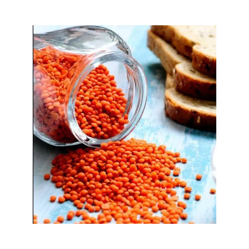 Alibaba.com: High Quality Organic Red Lentils, Dried Whole Green ...