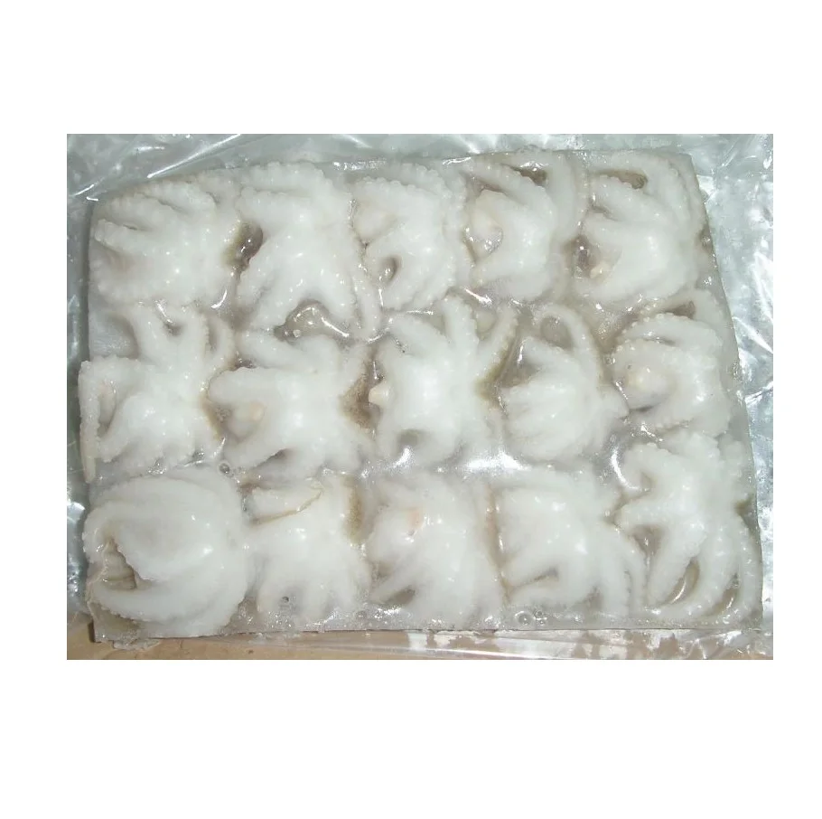 Frozen Seasoned Baby Octopus Octopus Fresh Frozen Baby Octopus For Sale ...