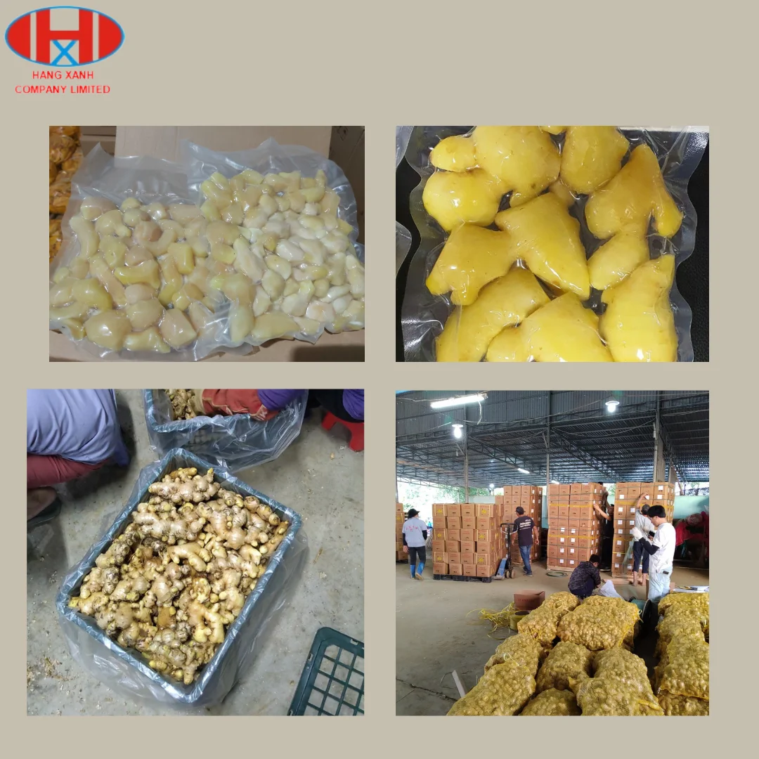 Fresh Ginger 10kg/carton,Vietnam New Crop - Wholesale Export - Whatsapp ...
