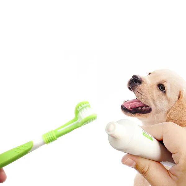 Dental Care Dogs Toothpaste For Pet Oral Health - Buy Dog Toothpaste ...
