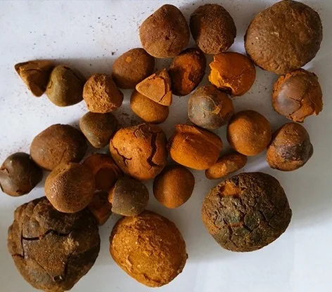 Cow Ox Gallstones | Cattle Gallstones | Ox Gallstones - Buy Wholesale ...
