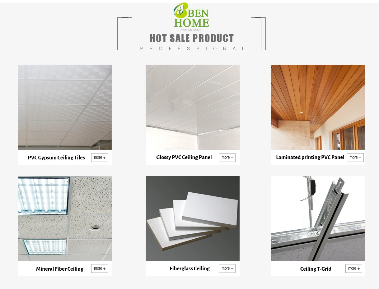 Company Overview - Guangzhou Ben Home Building Material Co., Ltd.