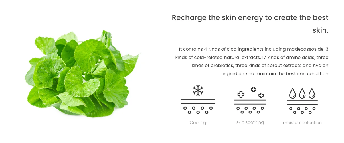 Yeonje Petitra Cica Basis Soft Soothing Cream Pack 500ml Maintains Skin ...