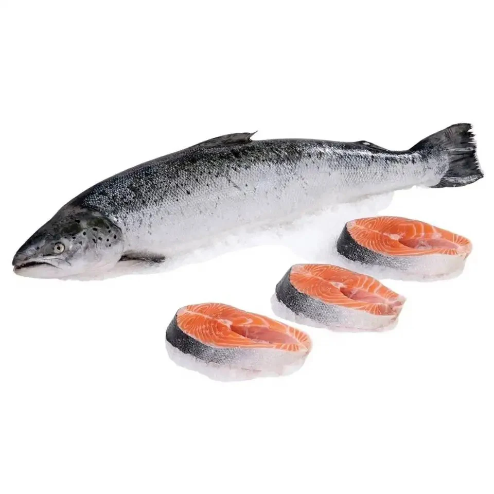 Salmon Fish Wholesale Salmon Fish Frozen Salmon Fish (seafood) - Buy ...