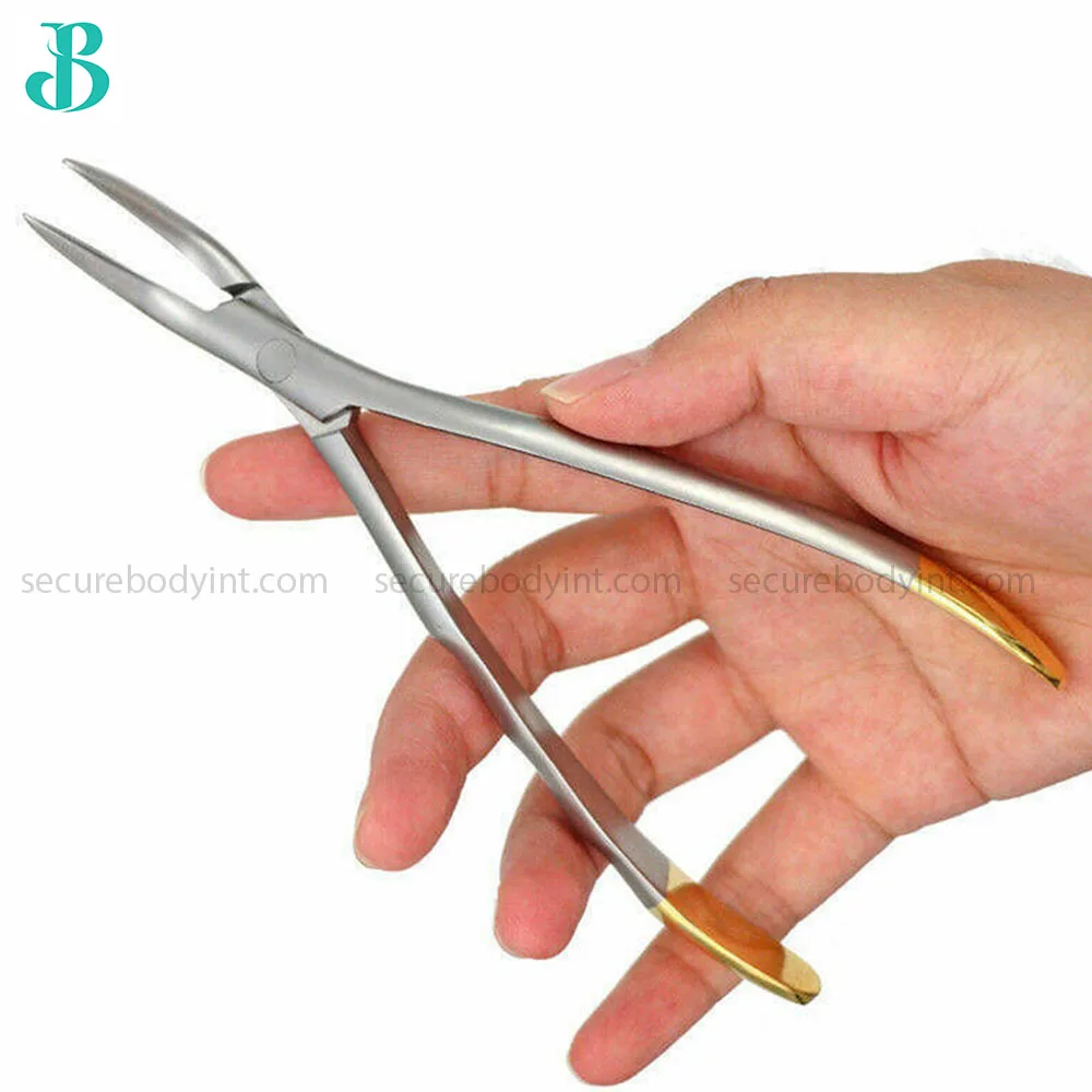 Dental Forceps Root Tooth Extraction Tooth Pliers Forceps With Fitting Handle Pediatrics ...