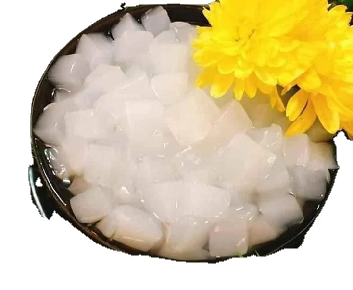 Hot Nata De Coco Snacking Bliss Best Selling Coconut Jelly From Vietnam ...