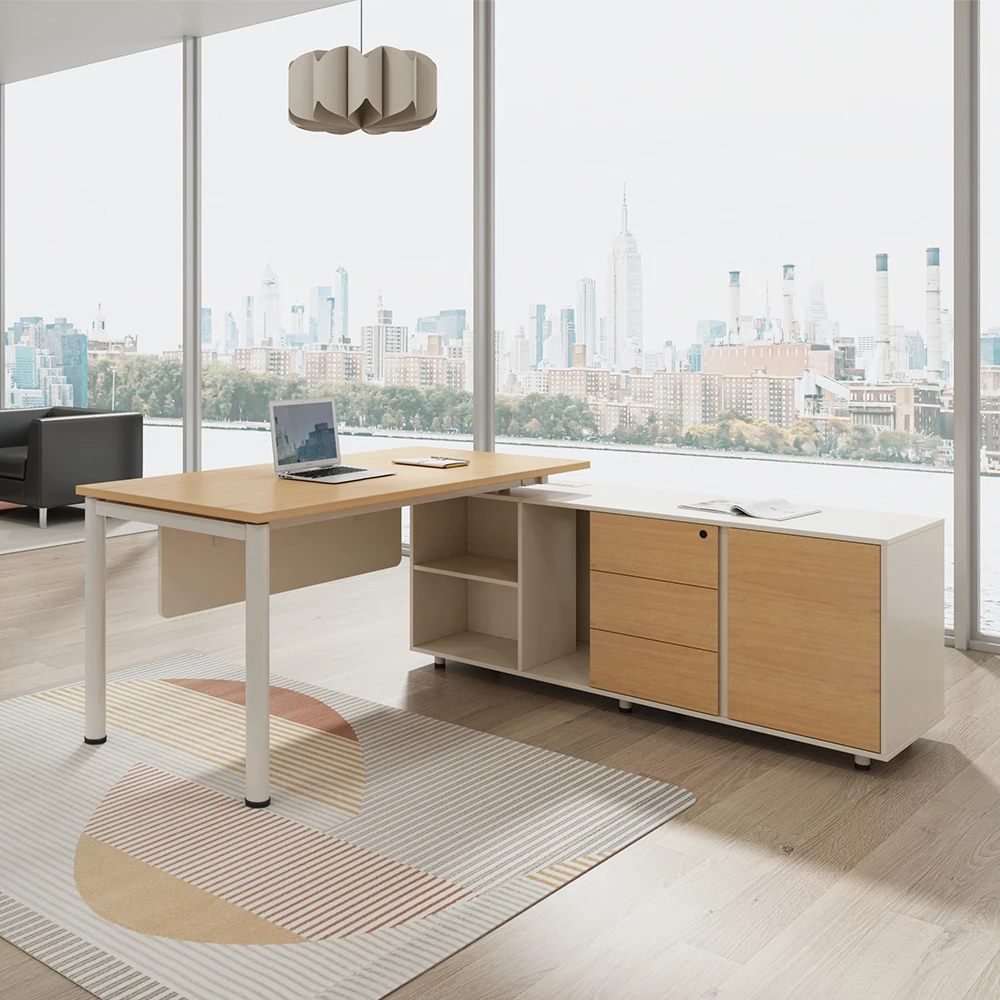 Modern Pc Laptop Table Executive Office Desk With Cabinet Single ...