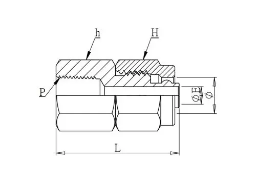 SUS 304/316 Rapid Pneumatic Fittings Female Connector 1/4~1/2 Inch ...