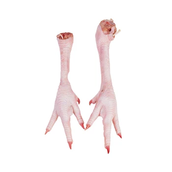 Wholesale Fresh Chicken Frozen Chicken Paws For Good Price Export ...