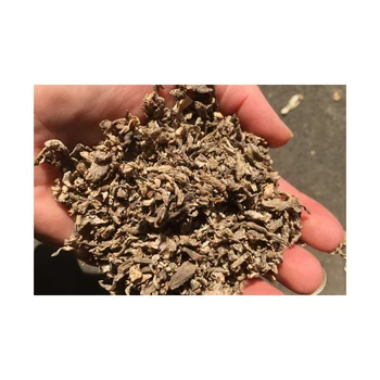 Beet Pulp Pellets Are Formed From Dried Sugar Beet Pulp Wholesale - Buy ...