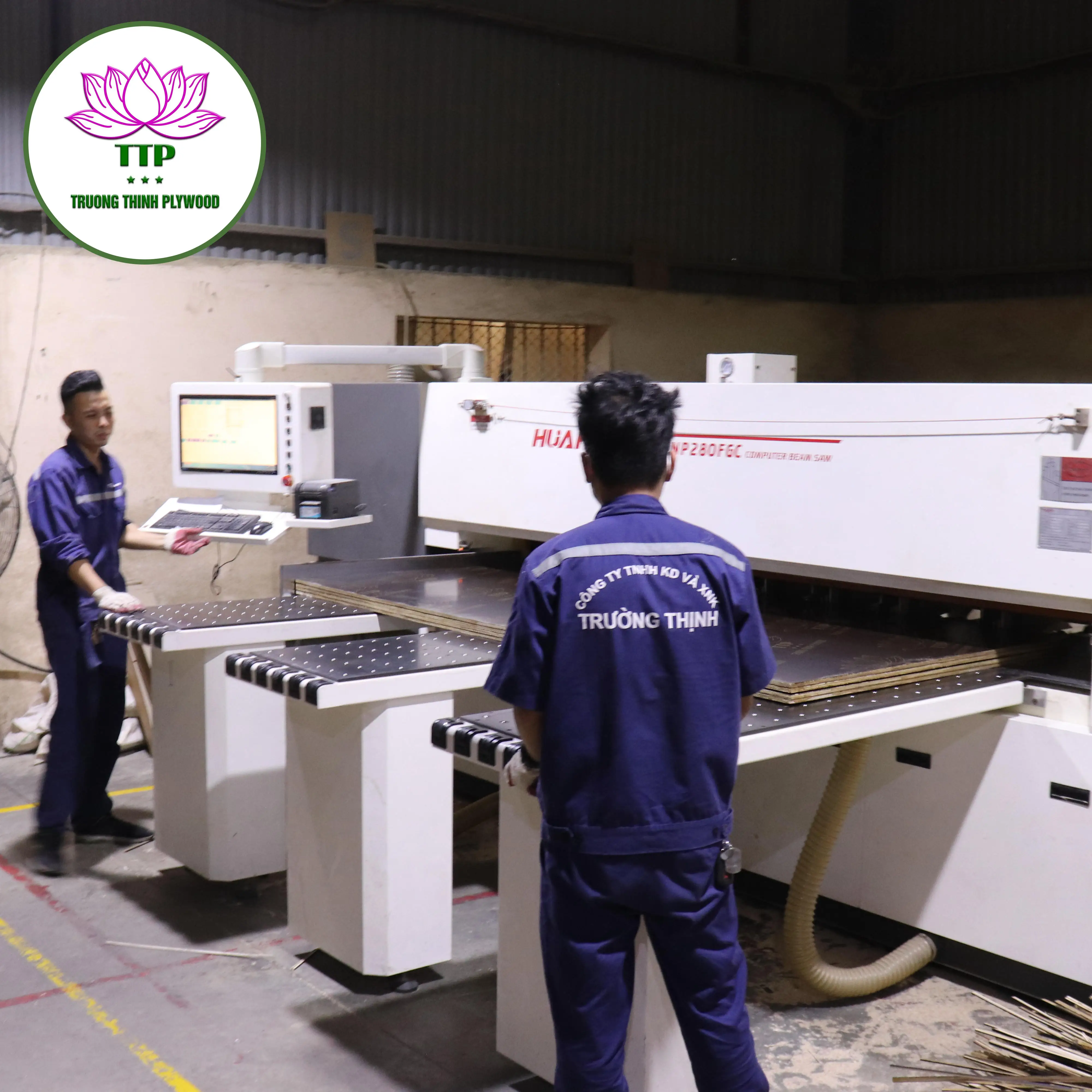 T 2023 Ttp Logo Lotus Logo 20 Reused Times Eucalyptus Acacia Core Film ...