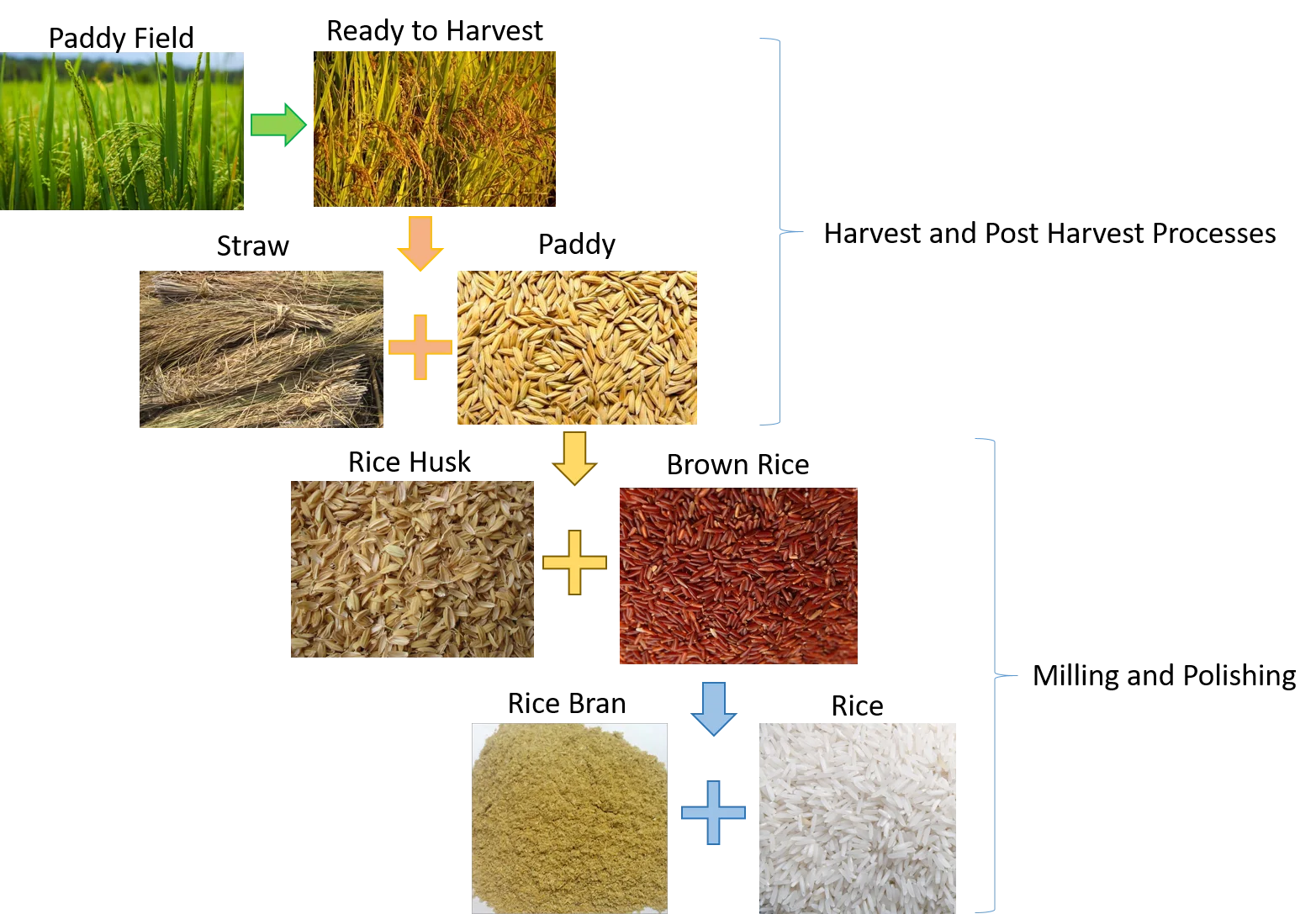 Vietnamese Red Jasmine Rice, Long Grain - Non-Sticky, Fluffy Aromatic ...