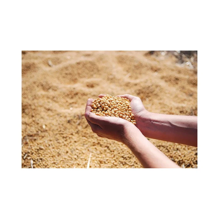 Broiler Starter Crumb Best Quality Starter Broiler Poultry Feed Organic ...