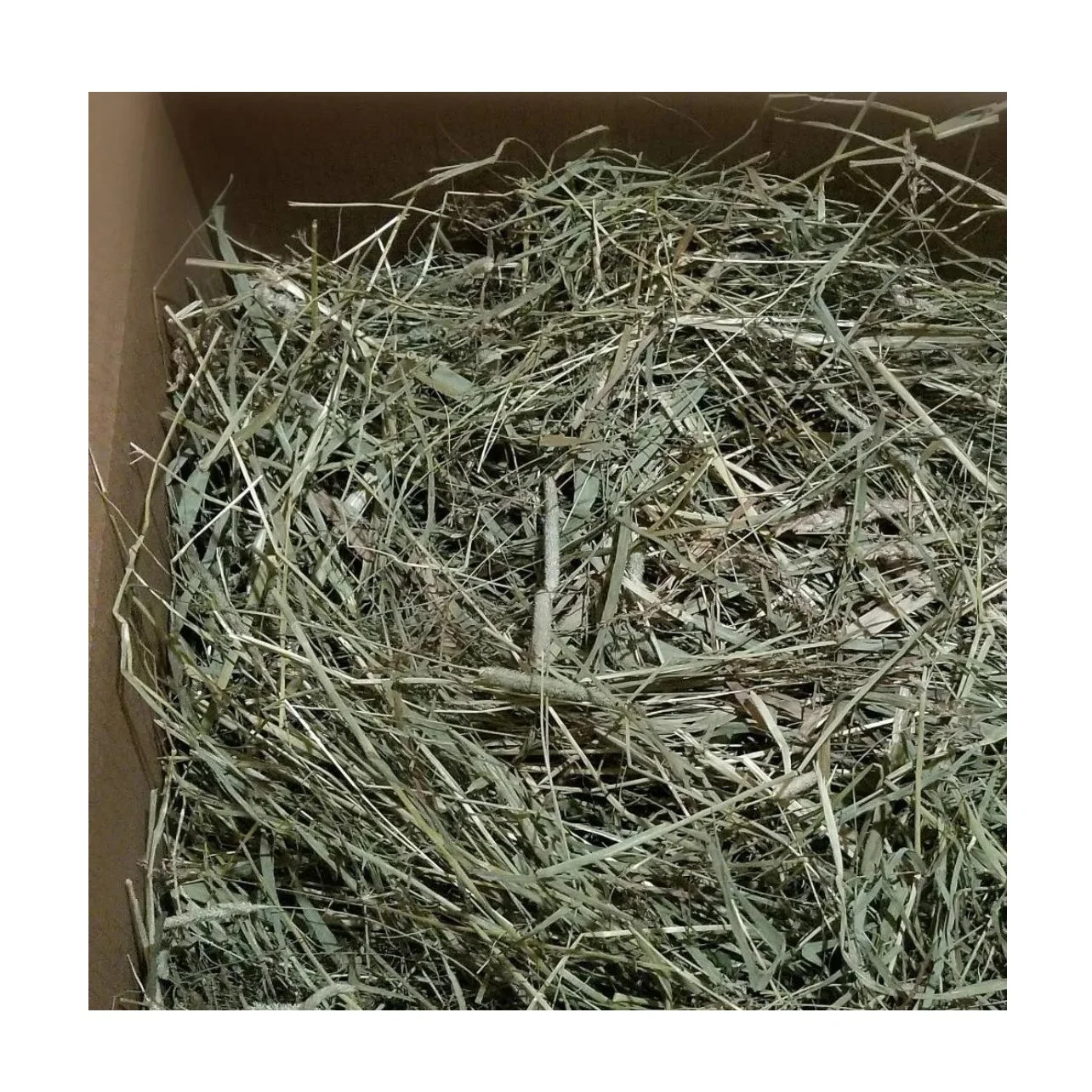 Alfalfa (lucerne) Hay/timothy Alfafa Hay/ Cheap Alfafa Hay For Animal ...