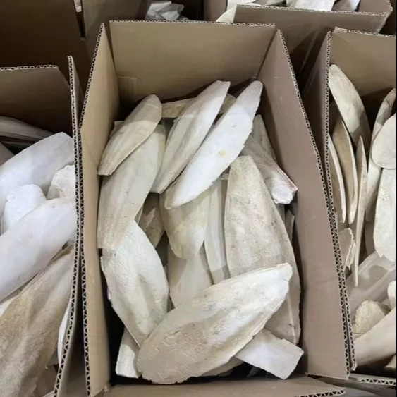DRIED CUTTLEFISH BONE POWDER from Vietnam| Alibaba.com