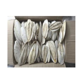 High Quality Dry Cuttlefish Bone Cuttlebone 100% Natural Cuttlefish ...