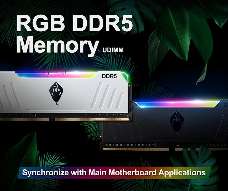 Anacomda Et Rgb Udimm Ddr5 Ram Memory 6000mhz Cl40 32gb(16gbx2) - Buy ...