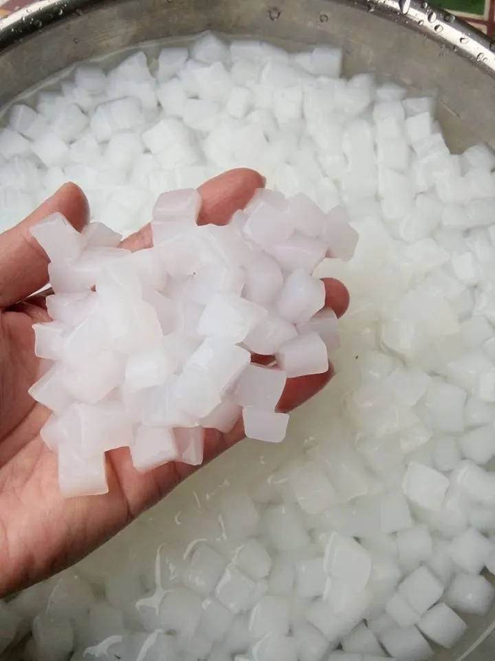 Dried Compressed Nata De Coco - Coconut Jelly Compressed / Nata Coco ...