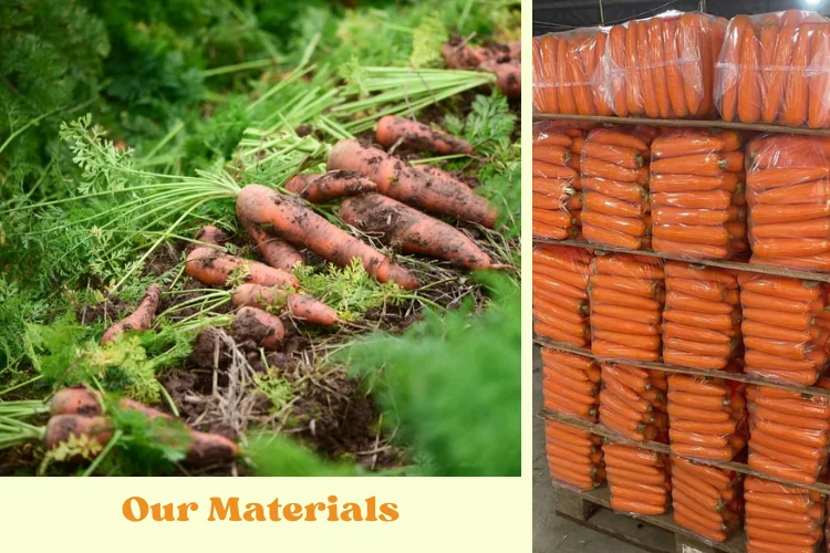 Iqf Freezer 2024 Blue Lotus Frozen Carrot Vegetable Fruit Agriculture ...