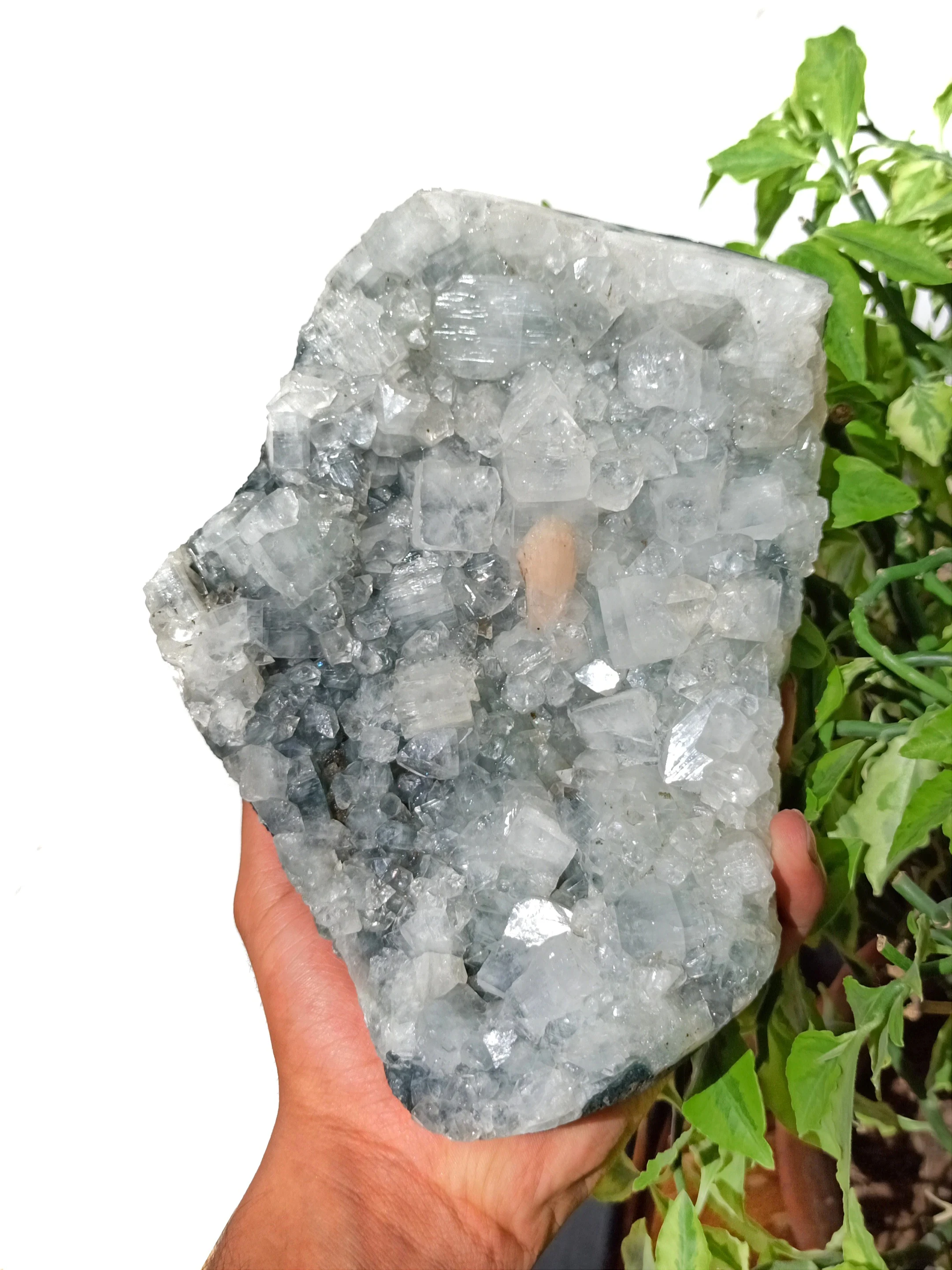 Mineral Apophyllite Clusters Wholesale Stilbite Apophyllite Mineral ...