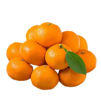 Bulk Price Quality Fresh Juicy Mandarin Oranges For Wholesale Price ...