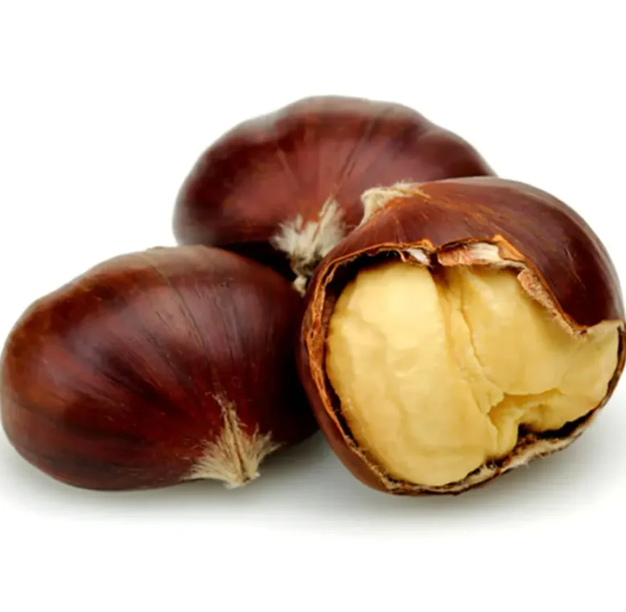 Best Selling Germany Shelled Fresh Raw Organic Chestnuts In 5kg Peeled ...