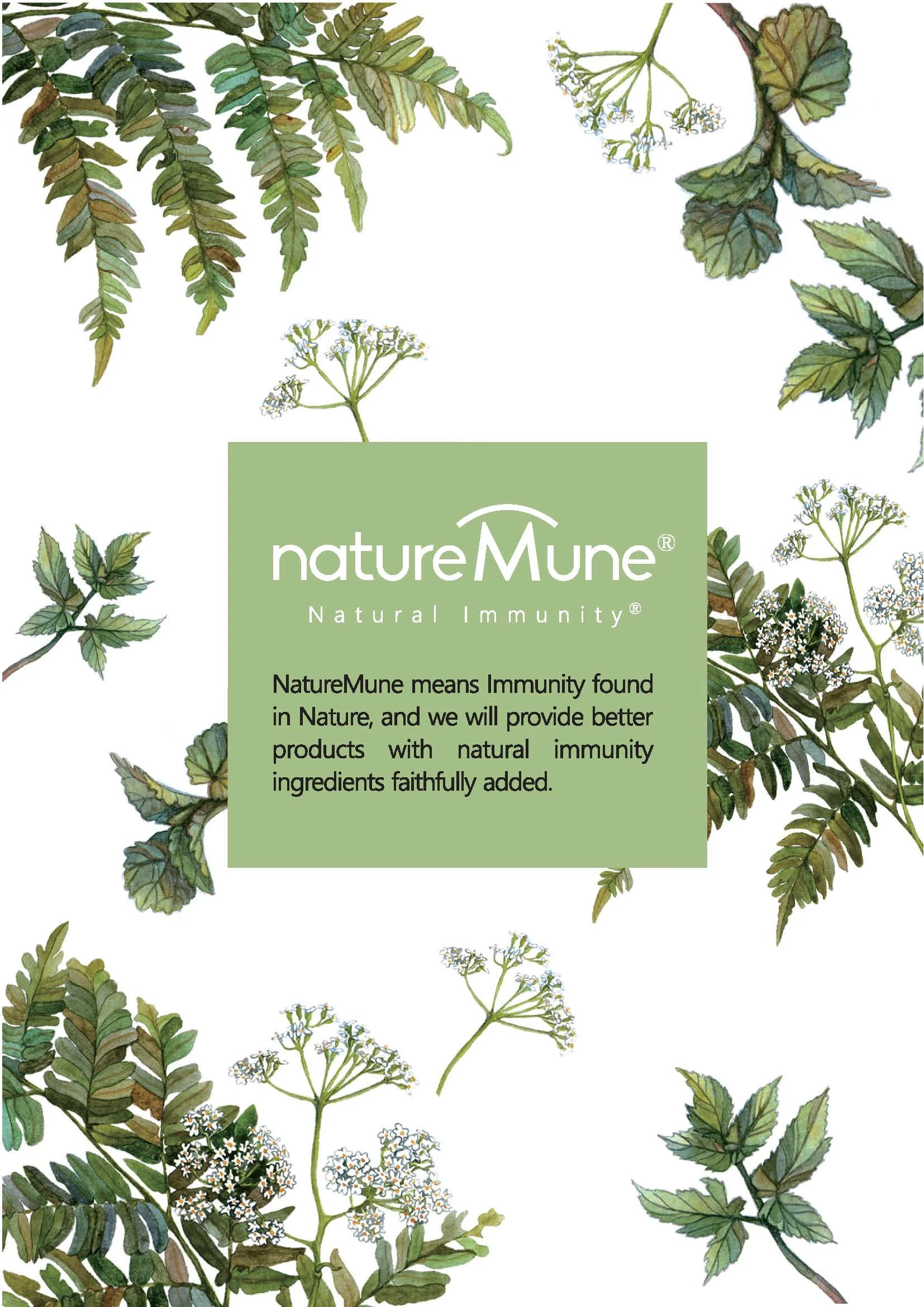 [Mune] Fortifying Nature Scalp Serum for Thinning and Aging Hair Serum ...