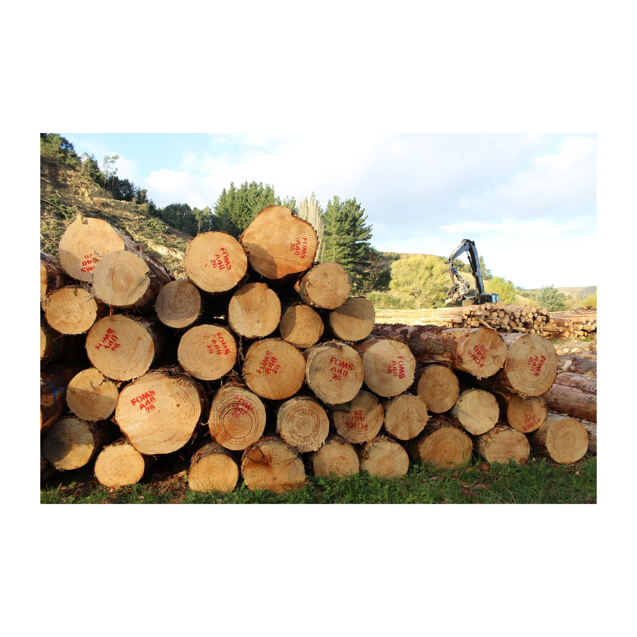 Customization High Quality Building Wood Larch Wood Timber 2x4 Lumber ...