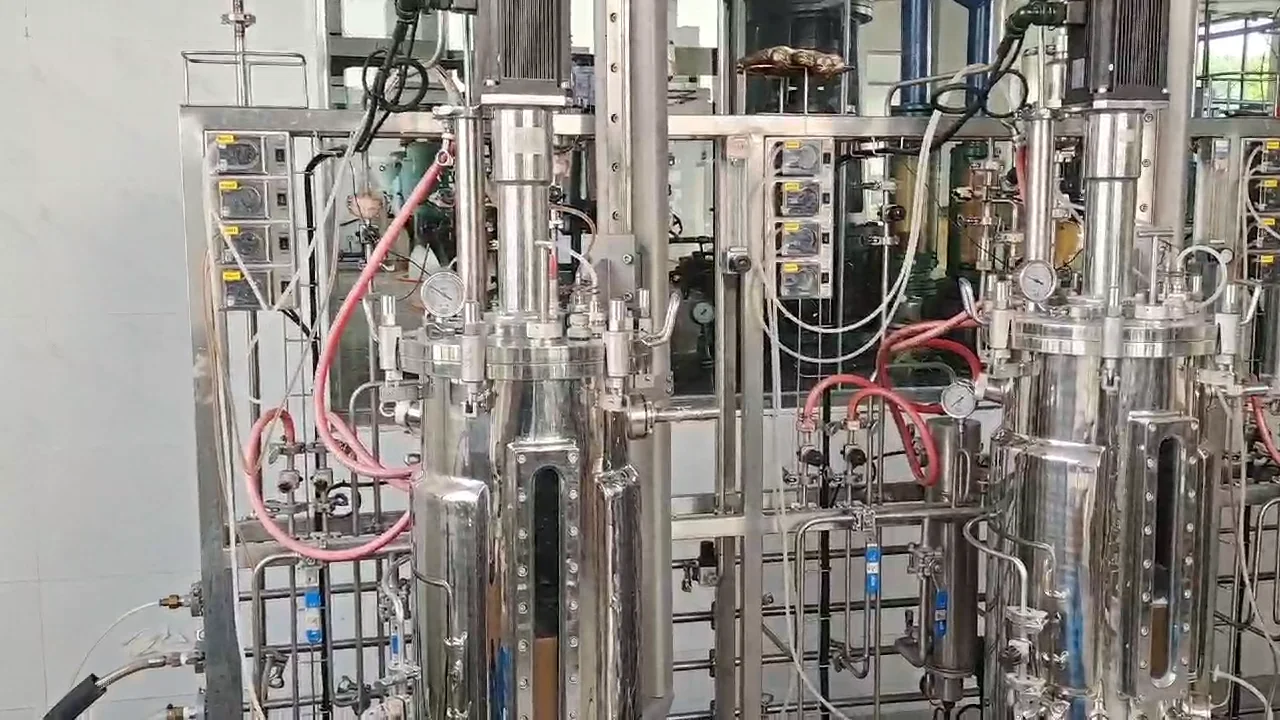 Pilot Size Of Fermenter Bioreactors Using Immobilized Electrical ...