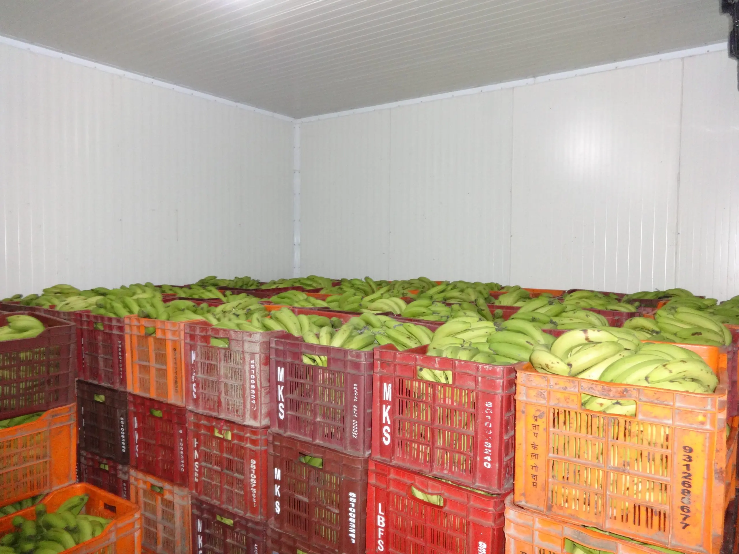 Customized Fruit And Vegetable Banana Ripening Cold Storage Room ...