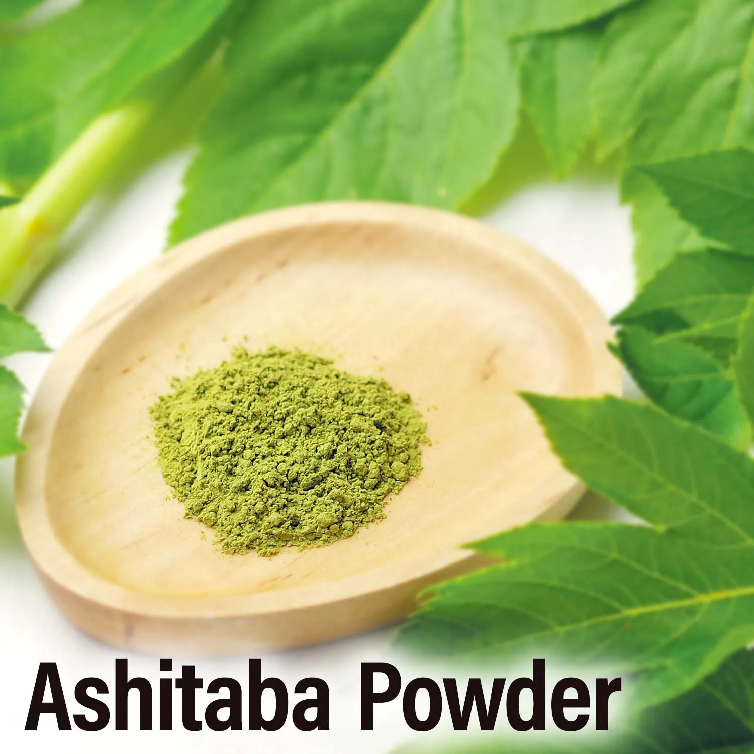 High Quality Natural Pure Angelica Powder from Japan