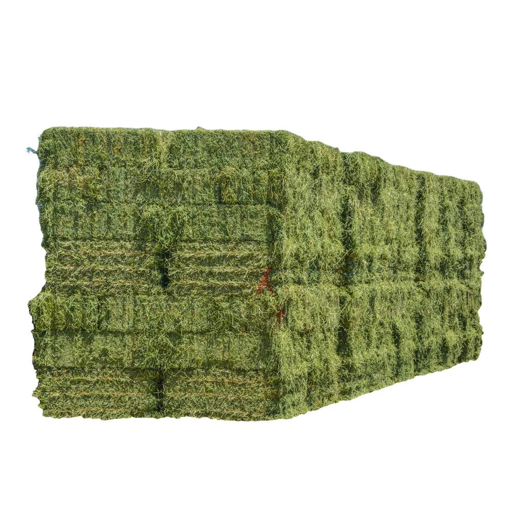 Alfalfa Hay For Animal Feeding And Seeds Cheap Alfalfa Hay Bales ...