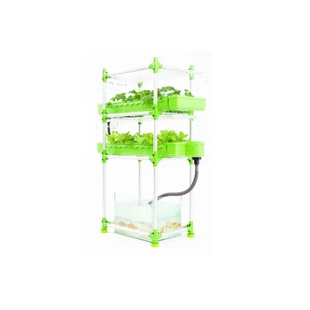 Aquaponic Fish Farming Growing System Kit Medium Family Set - Indoor ...