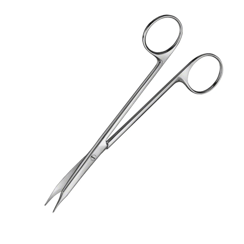 Reynolds Dissecting Scissors Curved Delicate Pattern Blunt Blunt 145 Mm ...