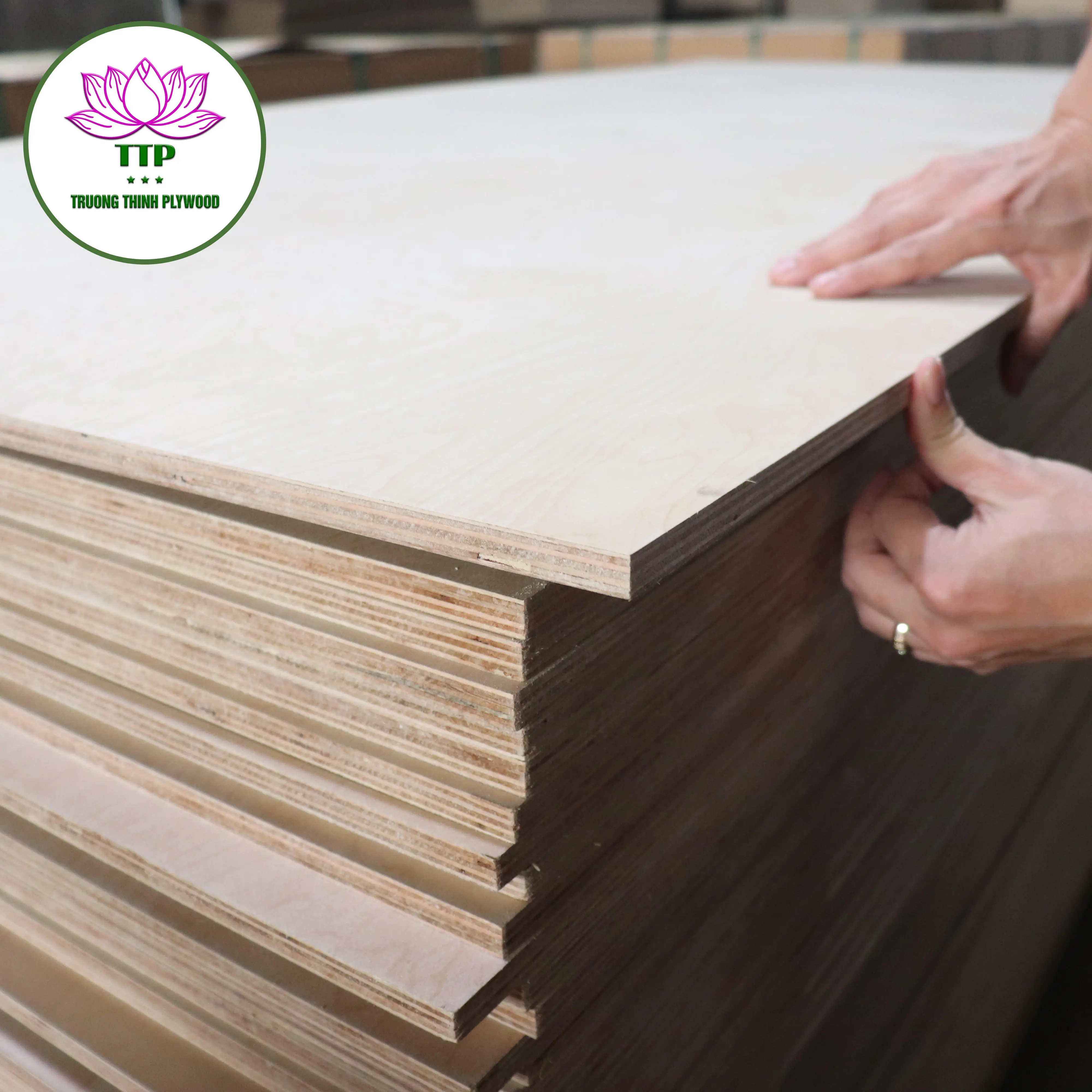 Plywood Glue For Furniture at Tracy Dibenedetto blog