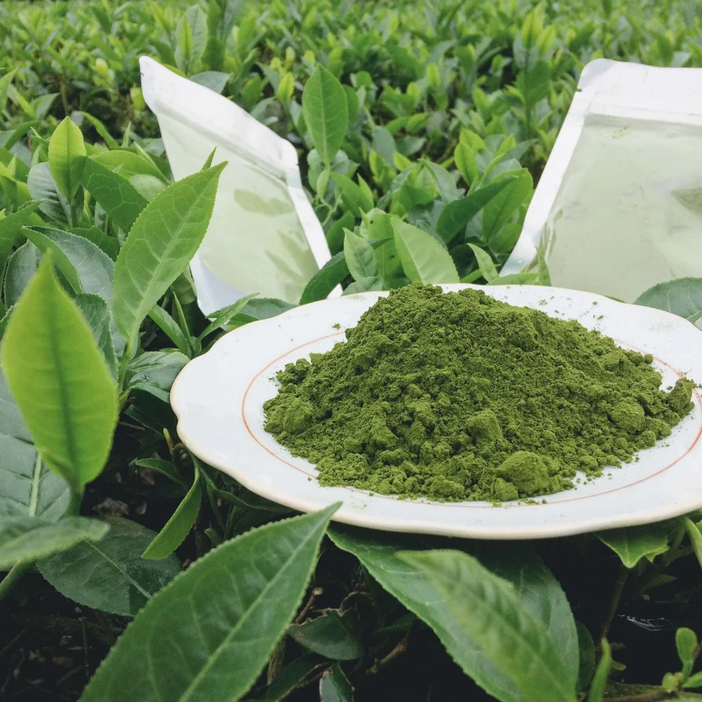 Blue Lotus Farm Organic Matcha Powder Ceremonial Grade Pure Green Tea ...