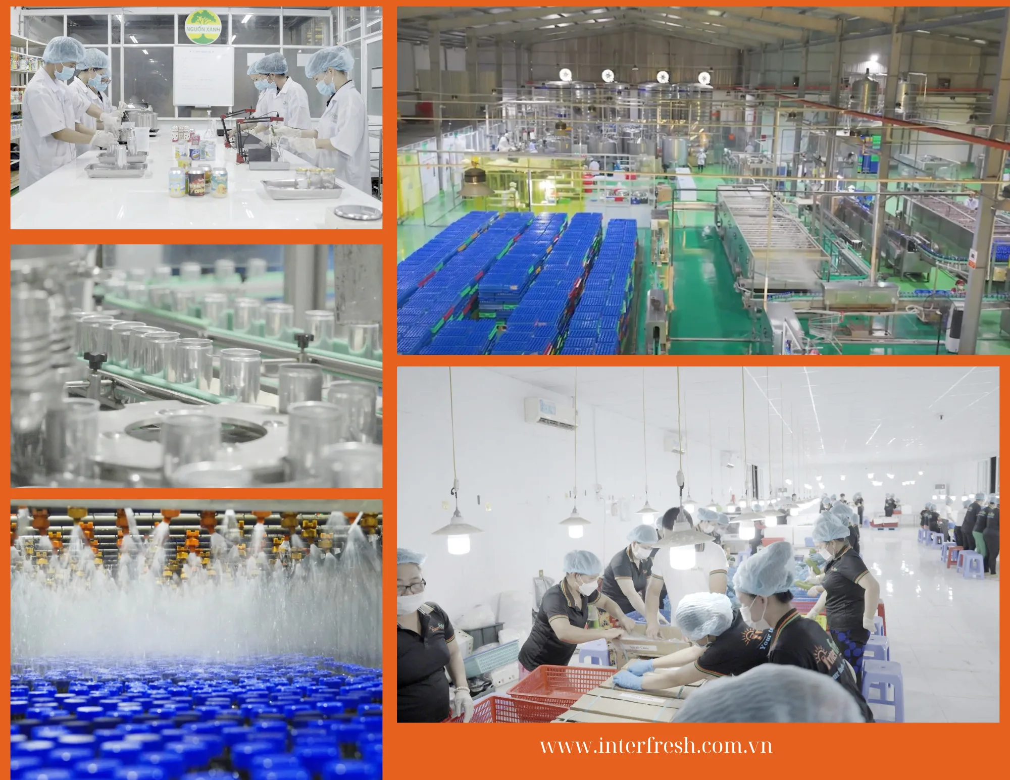 Interfresh Energy Drink Low-fat Bulk Wholesales Energy Drink Best Price ...