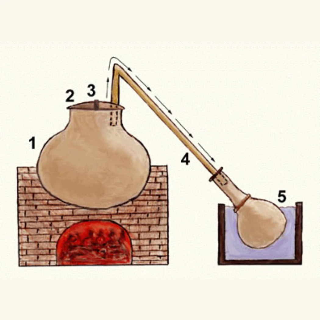 Monika Chandra Pure Natural Sandalwood Essential Oil Perfume Extracted ...