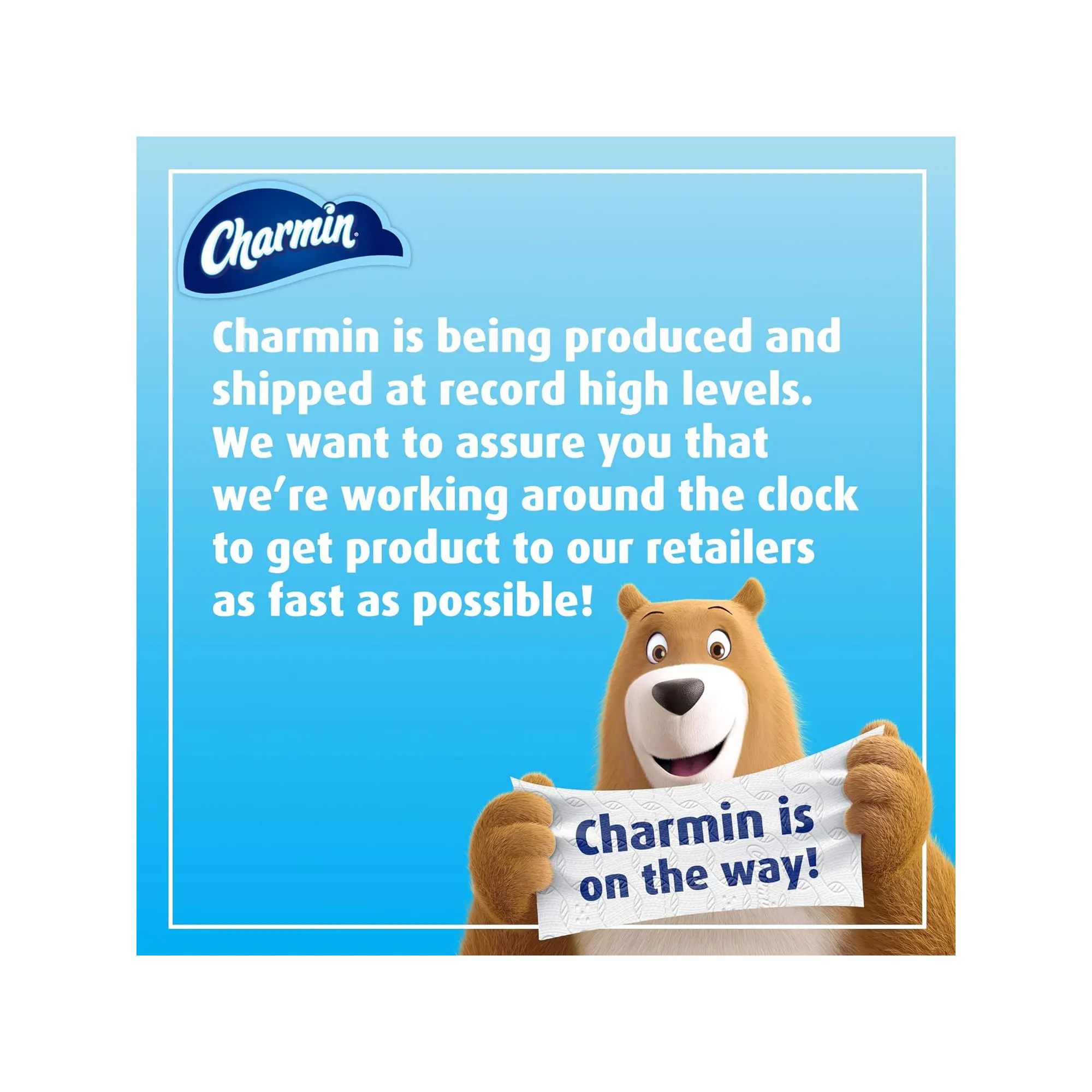 Charmin Ultra Soft Toilet Paper - 6 Mega Rolls | Premium Bathroom ...