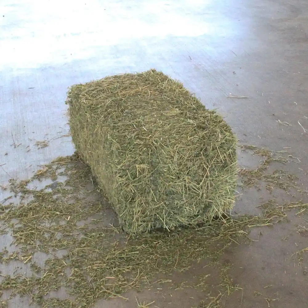 Freshly Harvested Alfalfa Stacked In Bales Bulk Supplier 550-600 Kg ...
