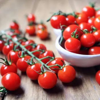 Fresh Tomatoes Natural High Quality Export Bulk Box Style Storage ...