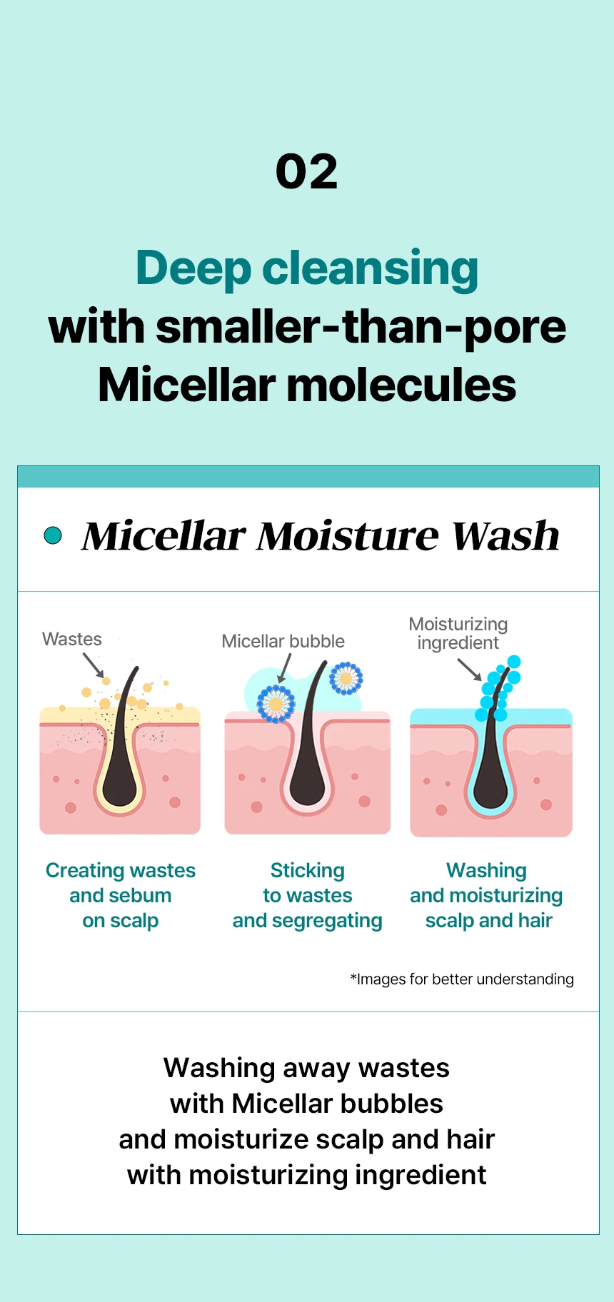 Dr.BANGGIWON No-Sebum Shampoo South Korea's No.1 Anti-Hair loss Shampoo ...