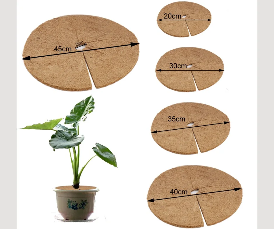 Round Coir Mulch Ring Tree Protector Mat Tree Ring Plant Cover For ...