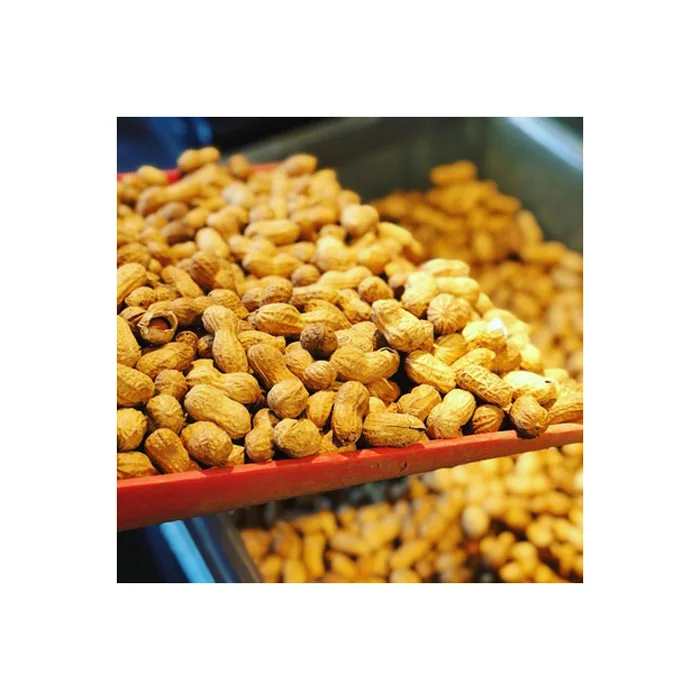 Shop High Quality Ground Nut Red Skin Peanuts from Canada