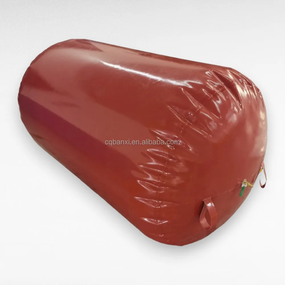 Hot Sale 1m3 Portable Biogas Storage Bag 5m3 for Home Biogas Plant for ...