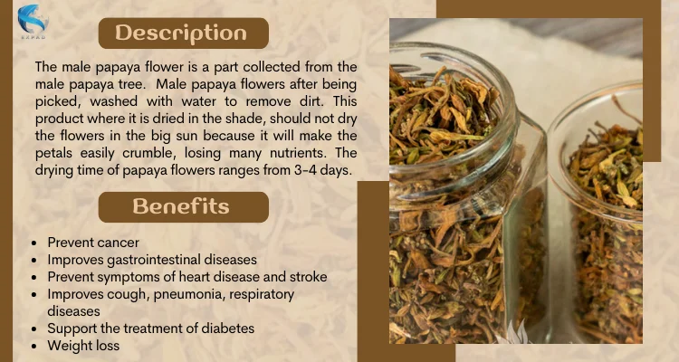 High Quality Dried Male Papaya Flowers From Expad Louis - Buy Health ...
