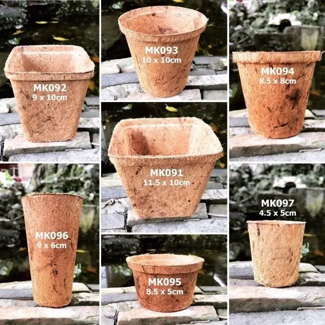Coir / Coconut Pot - Good Quality Coir Pots Fiber Coconut Fiber Flower ...